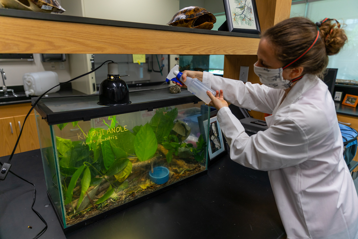 The Institutional Animal Care and Use Committee (IACUC) | UResearch ...