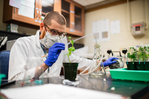 Research Lifecycle | Research at UM | University of Miami